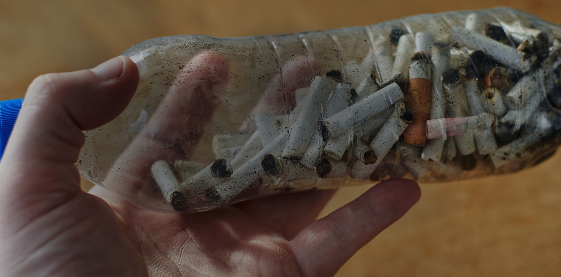 The Foundation - No Megot